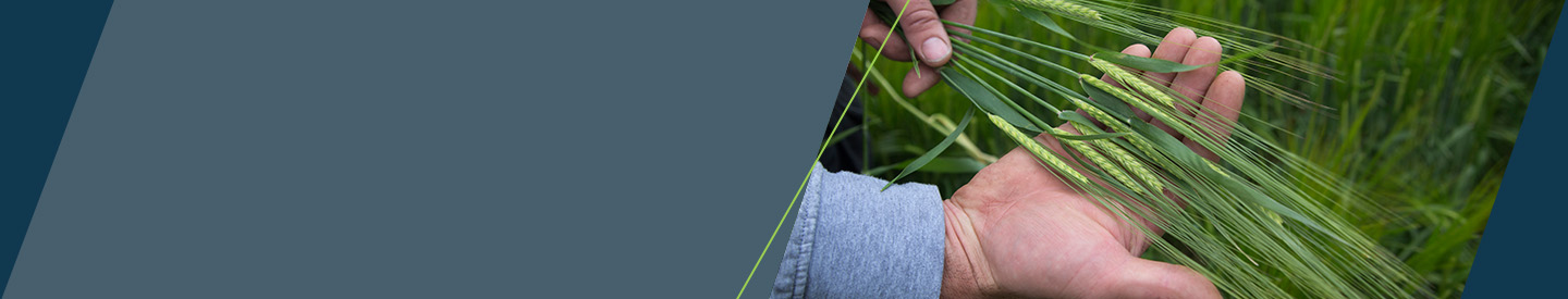 Bayer CropScience Norge